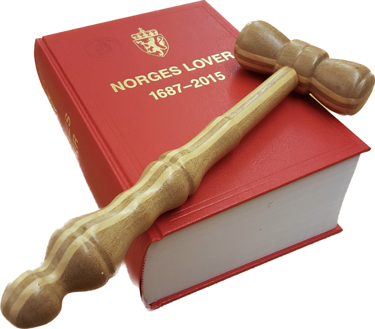 Viktige lover og regler om Hagedam