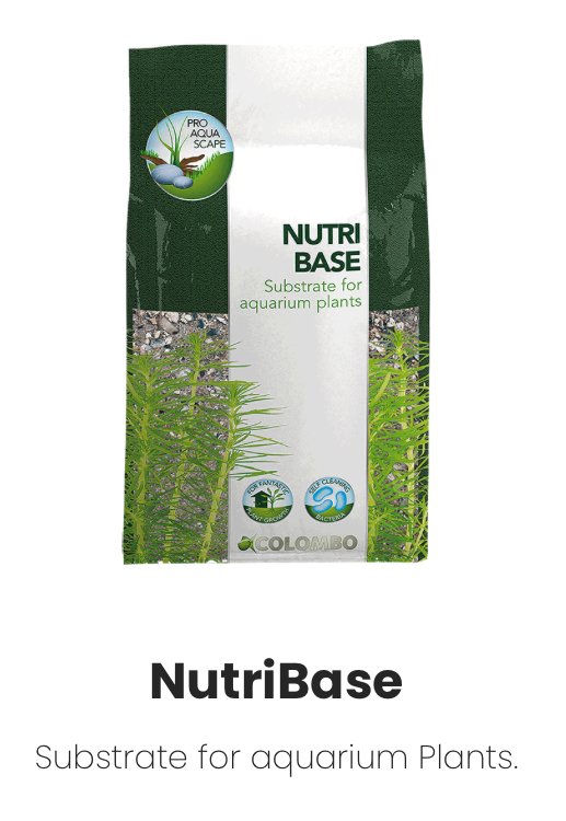 NutriBase 5 liter / Colombo - Co2, Planteutstyr og Grus - Koi og ...